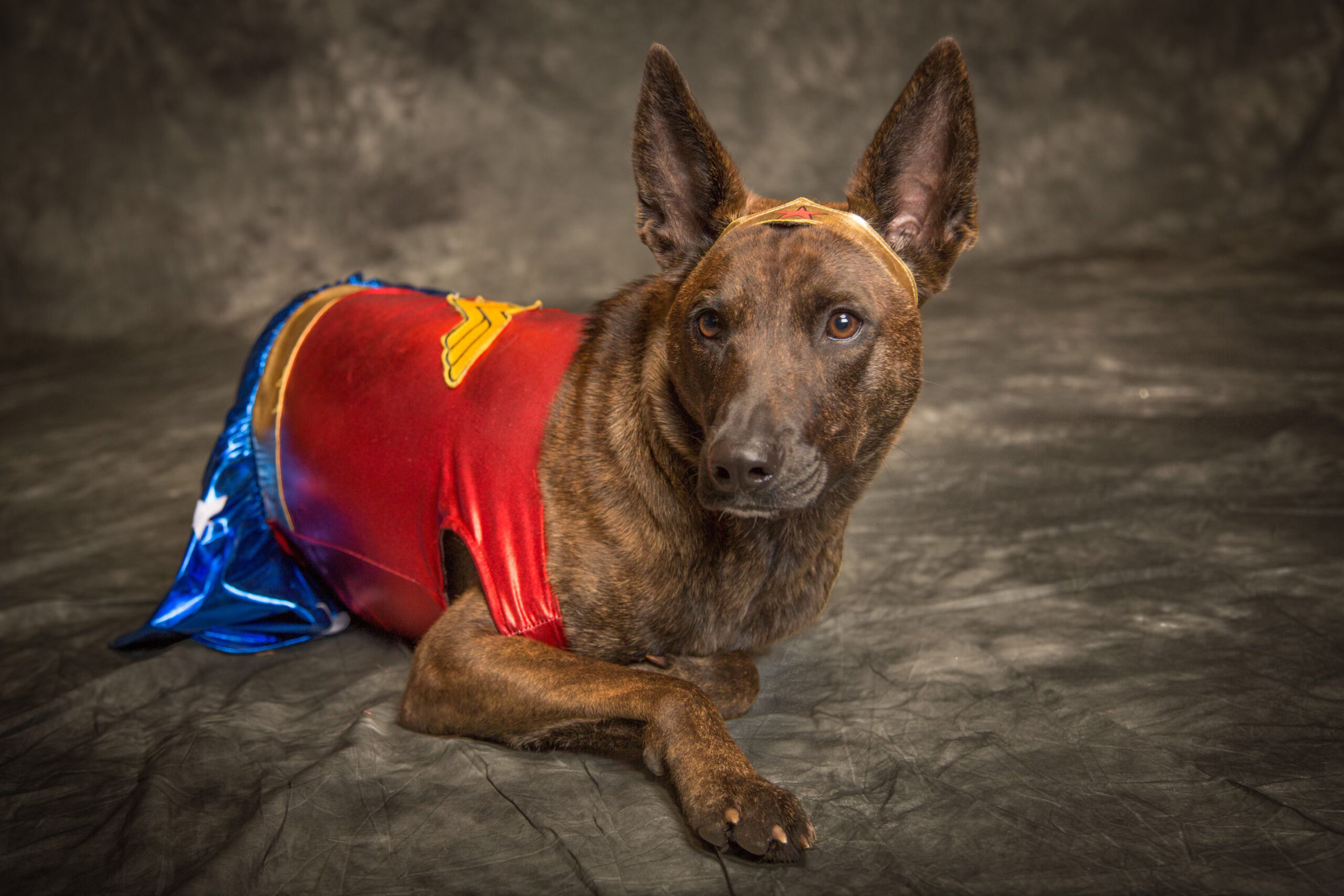 Adele – John Eric Home Magazine